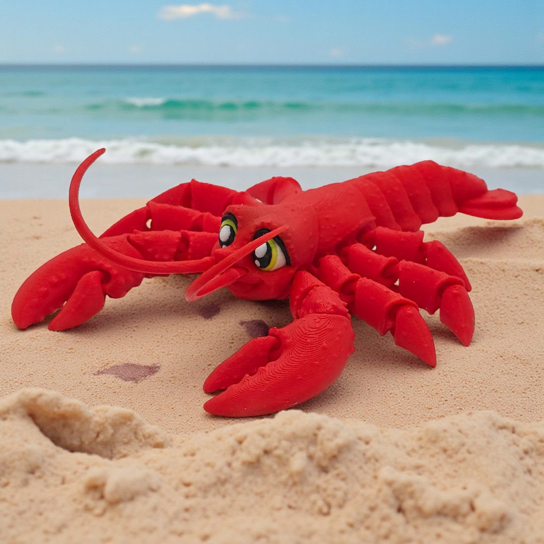 3D Printed Lobster, Articulated Fidget Toy, Multi Color Lobster Toy ...