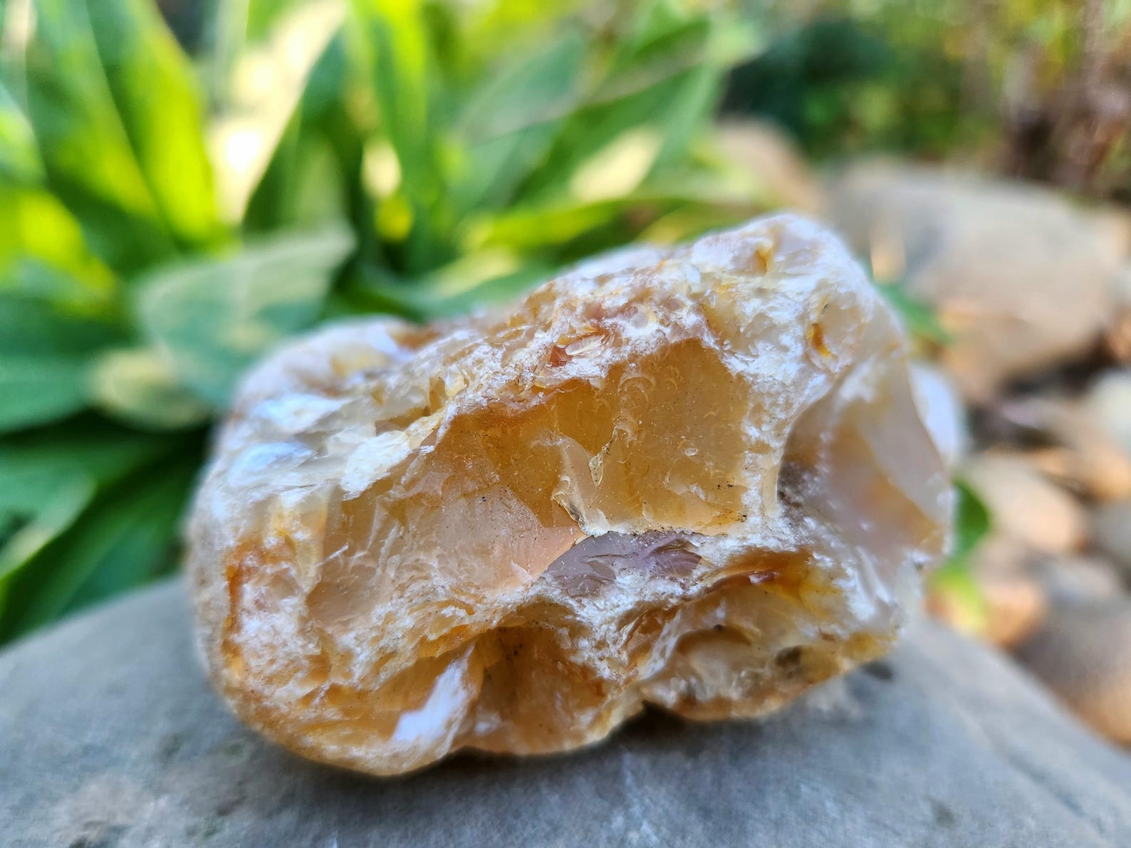 Carnelian Epimorph Agate, Oregon Agate, 13.8 Oz, Rough Agate, Lapidary ...
