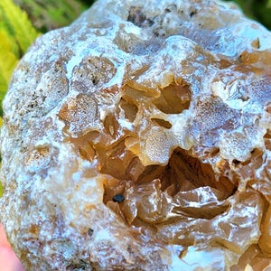 Carnelian Epimorph Agate, Oregon Agate, 13.8 Oz, Rough Agate, Lapidary ...