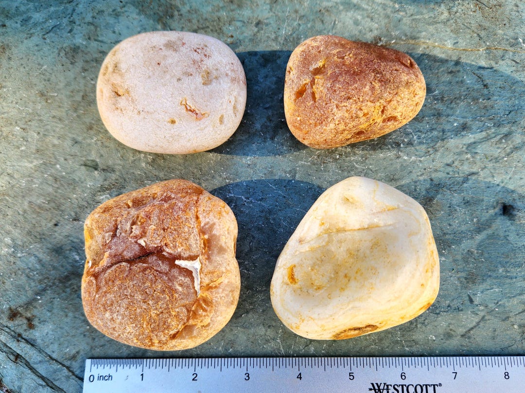 Lot of 4 Rough Oregon Agates, 2 Lbs 9 Oz, Carnelian Agates, White ...