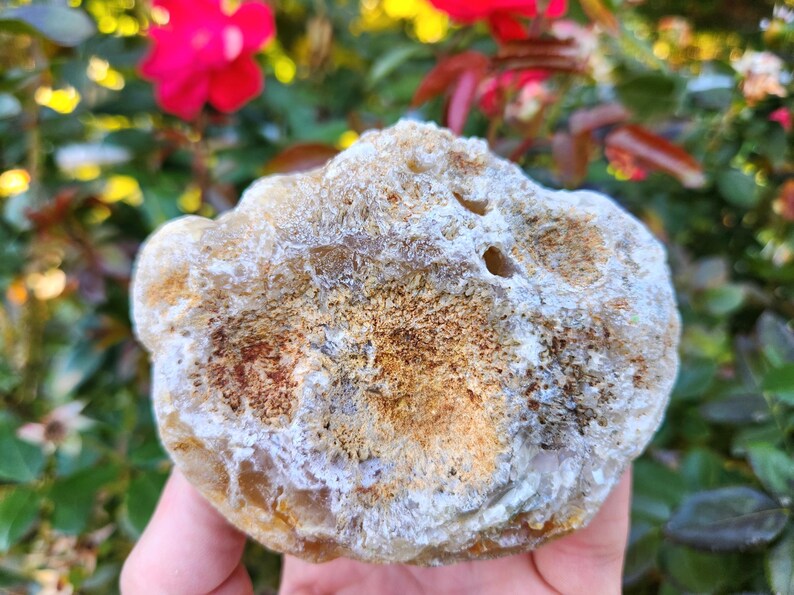 Carnelian Epimorph Agate, Oregon Agate, 13.8 Oz, Rough Agate, Lapidary ...