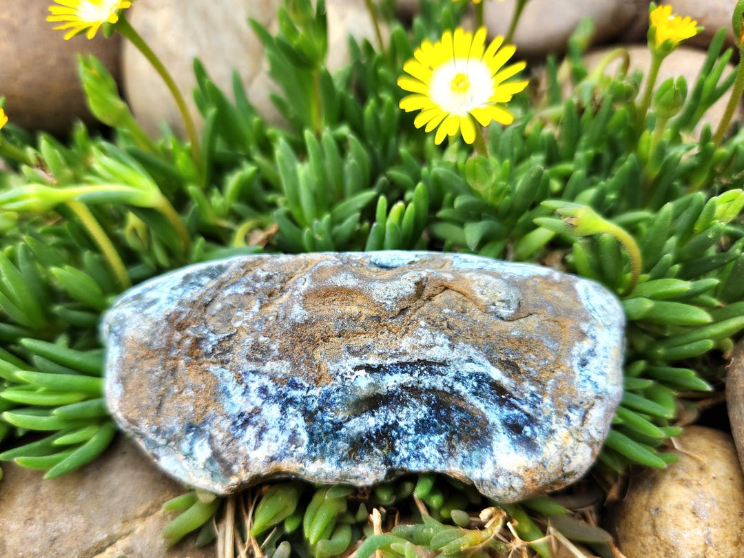 Oregon "blue" Chalcedony, Opaque, Oregon Coast Agate, 4.2 Oz ...
