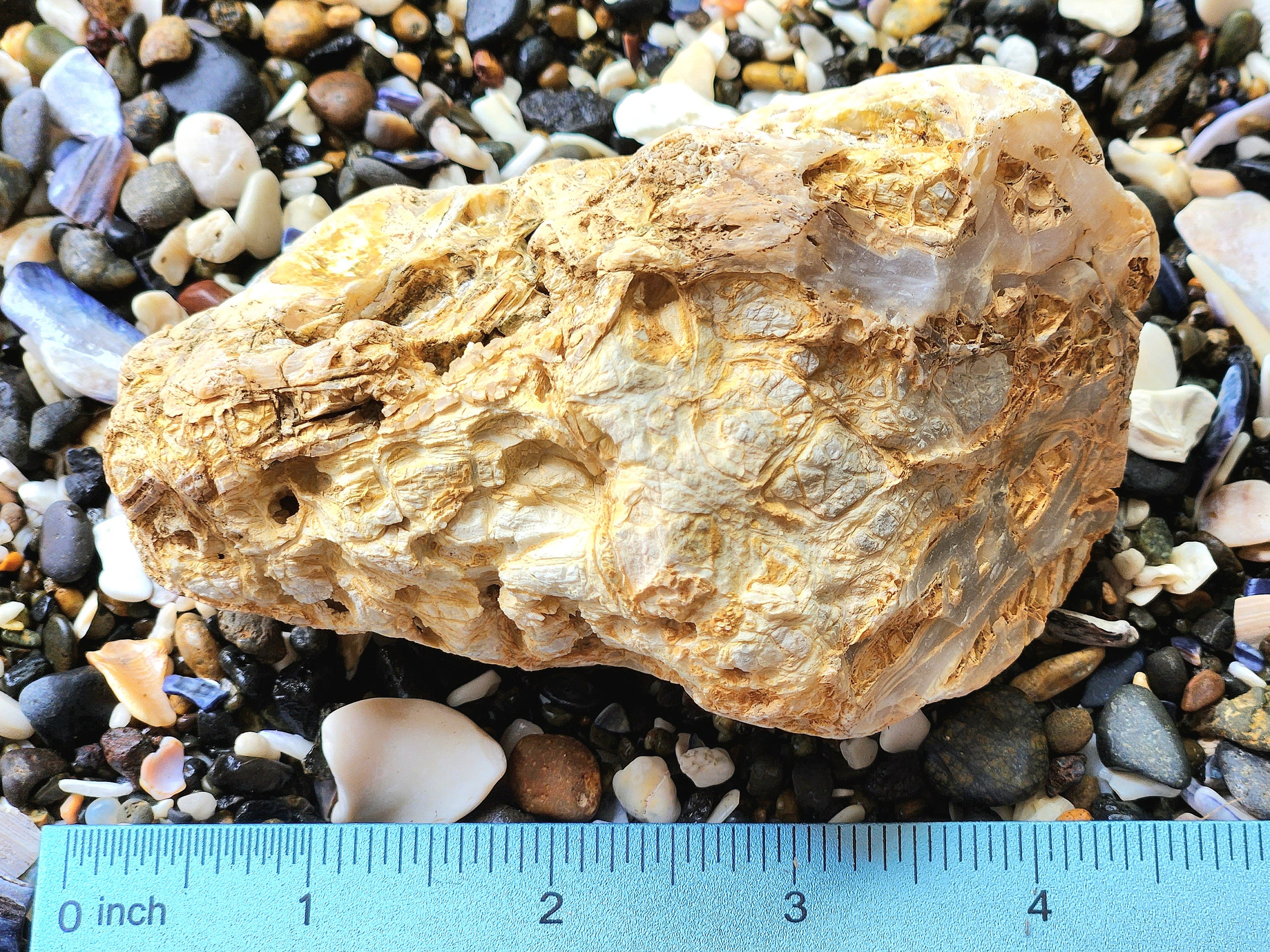 Fractured Membrane Agate Oregon River Agate 1 Lb 1 Oz Agate - Etsy