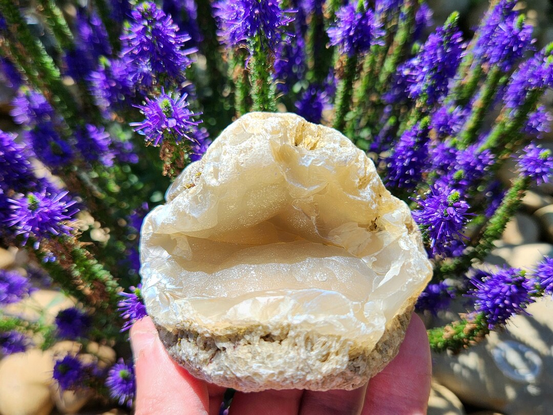 Oregon Chalcedony Agate, Botryoidal Agate, Geode, River Agate, Mineral ...