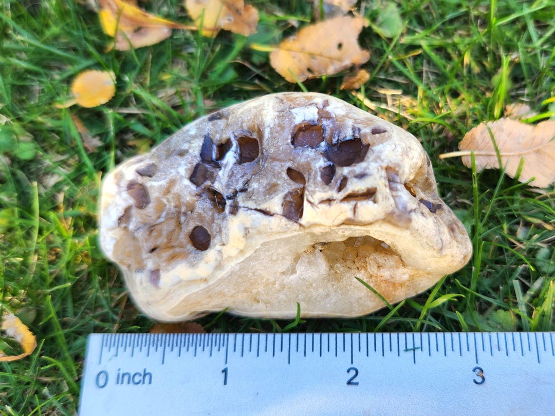Oregon Agate With Unique Texture, Oregon River Agate, 5.5 Oz, Banded ...