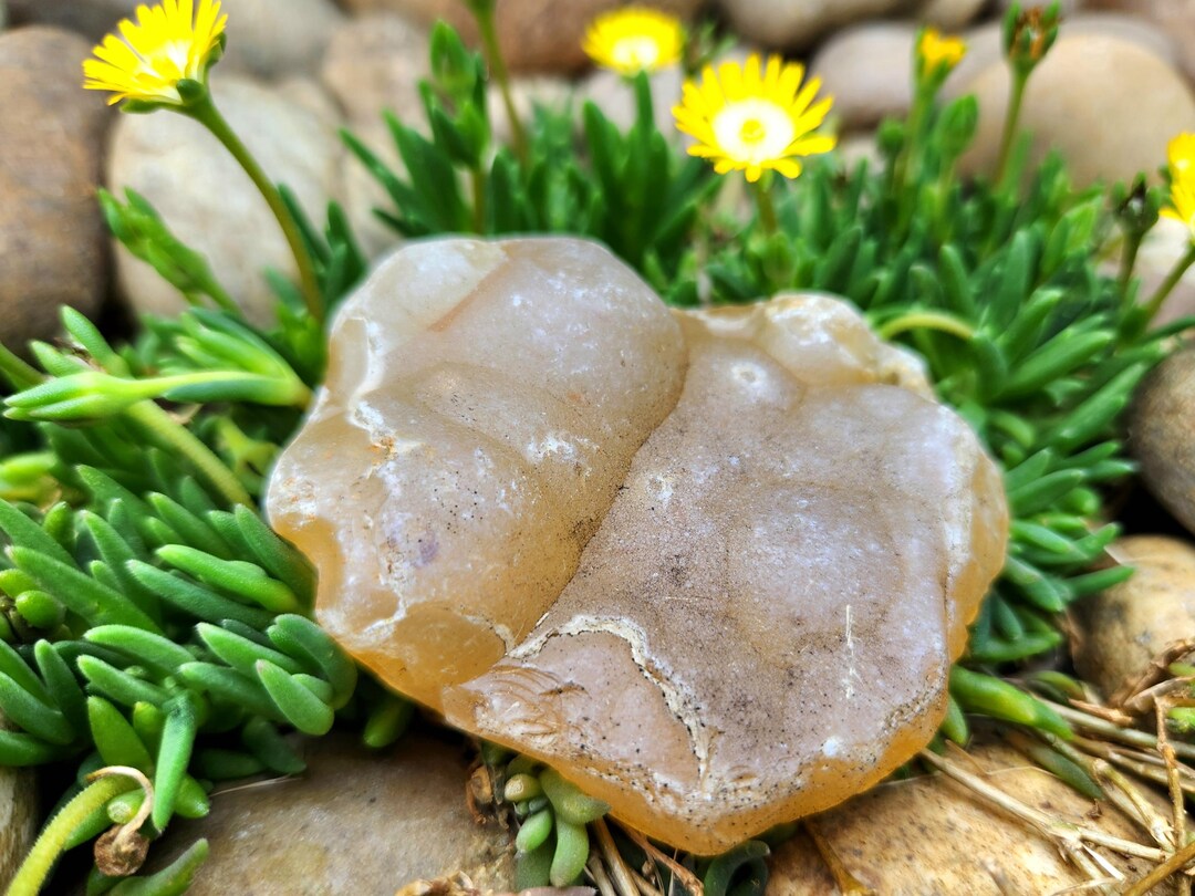 Oregon Botryoidal Agate, Rough Agate, 5.5 Oz, Translucent Agate ...