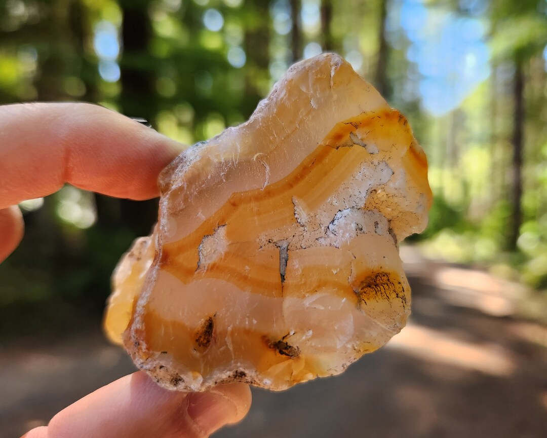 Fortification Agate, Carnelian Banding, Oregon River Agate, Druzy ...