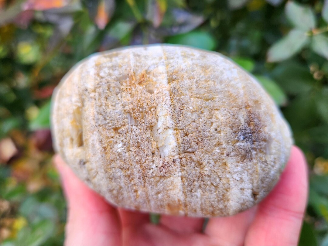 Waterline Agate, Rough Waterline Agate, Oregon Agate, 15.8 Oz ...
