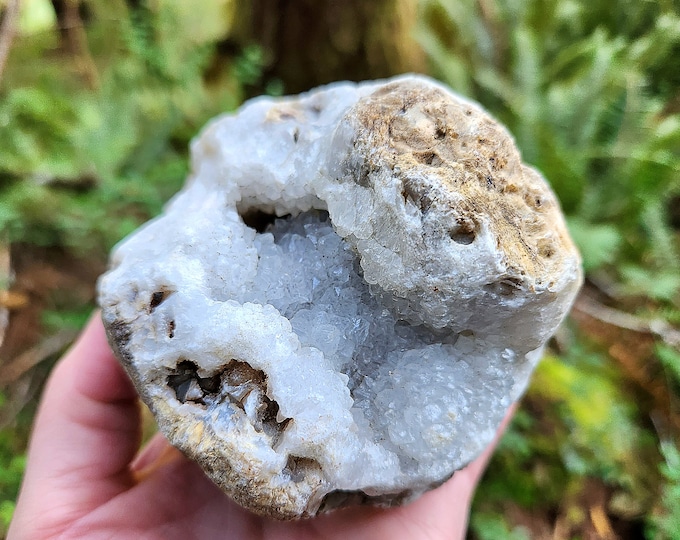 Oregon Agate With Large Druzy Crystals, Quartz Crystal, Agate, Geode ...