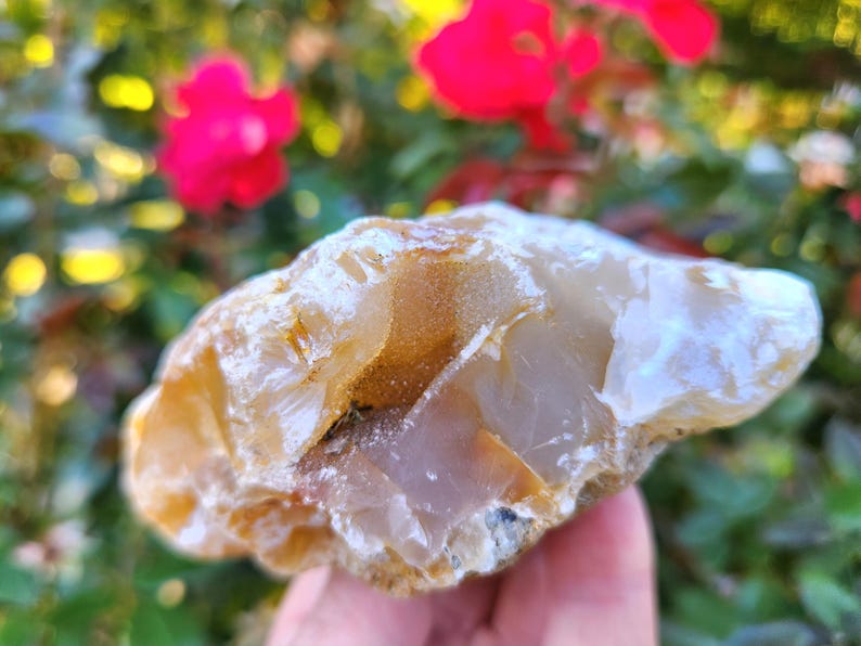 Carnelian Epimorph Agate, Oregon Agate, 13.8 Oz, Rough Agate, Lapidary ...