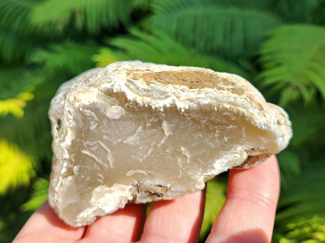 Oregon Agate, 12 Oz, Translucent Agate, Oregon Rocks, Chalcedony - Etsy