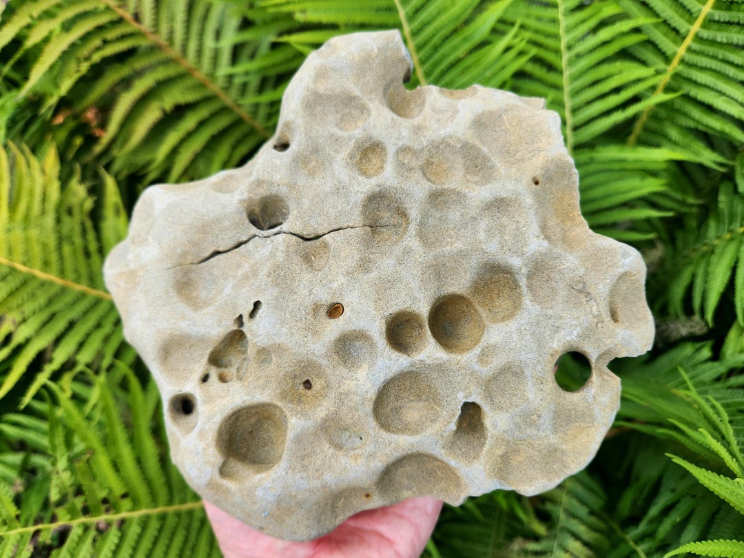 Large Holey Stone, 3 Lbs 11 Oz, Hag Stone, Odin Stone, Faerie Stone ...