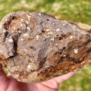 Botryoidal Agate, Oregon Agate With Host Rock, 1 Lb 4 Oz, River Agate ...