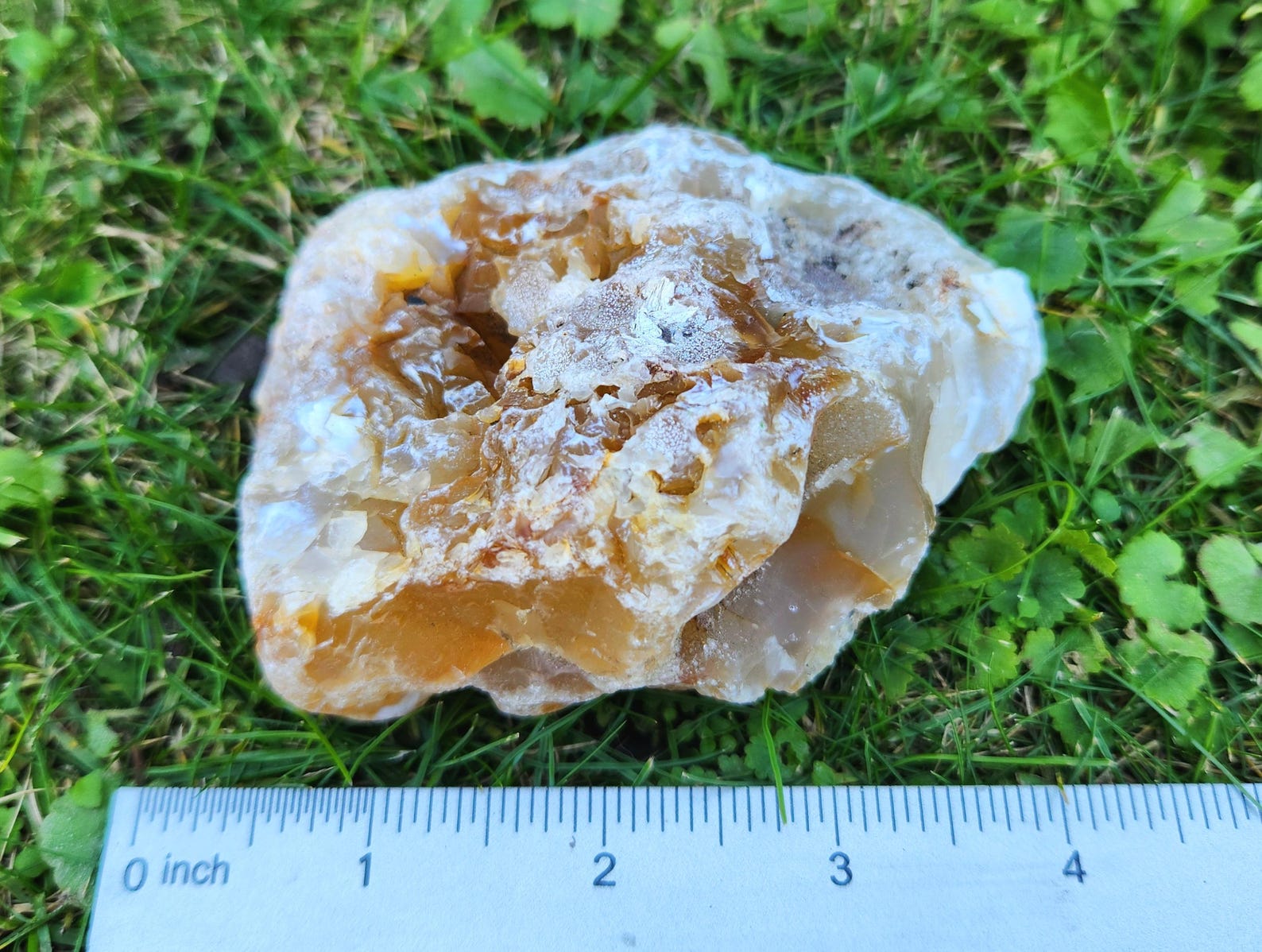 Carnelian Epimorph Agate, Oregon Agate, 13.8 Oz, Rough Agate, Lapidary ...