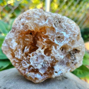 Carnelian Epimorph Agate, Oregon Agate, 13.8 Oz, Rough Agate, Lapidary ...