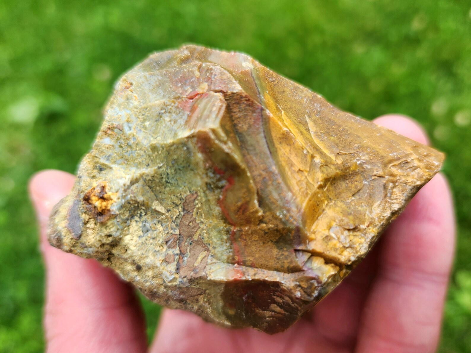 Multicolored Oregon Jasper, Yellow Jasper, Green Jasper, Red Jasper ...
