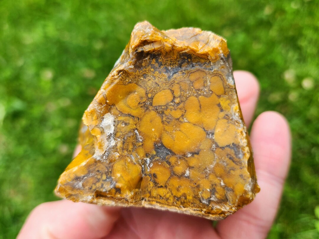 Polka Dot Mine Agate, Oregon Agate, 9 Oz, Lapidary, Oregon Rocks ...