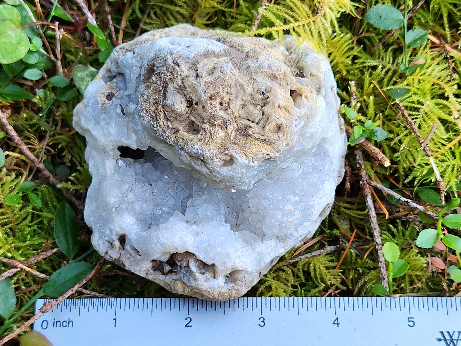 Oregon Agate With Large Druzy Crystals, Quartz Crystal, Agate, Geode ...