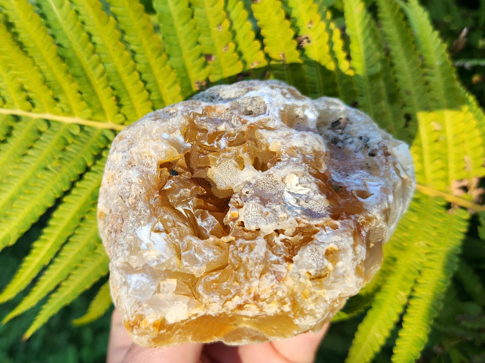 Carnelian Epimorph Agate, Oregon Agate, 13.8 Oz, Rough Agate, Lapidary ...