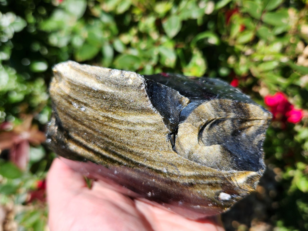 Gold Sheen Obsidian, Rough Obsidian, Gold Sheen, Mineral, Rock, 1 Lb ...