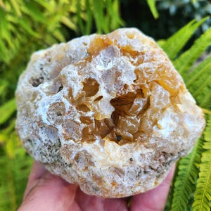 Carnelian Epimorph Agate, Oregon Agate, 13.8 Oz, Rough Agate, Lapidary ...