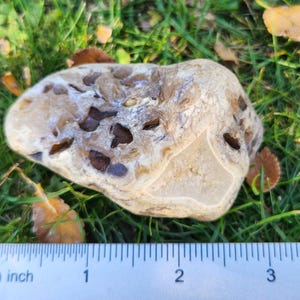 Oregon Agate With Unique Texture, Oregon River Agate, 5.5 Oz, Banded ...