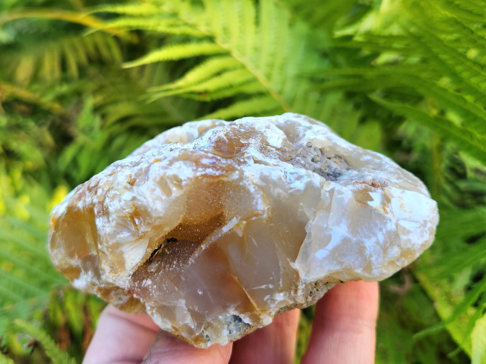 Carnelian Epimorph Agate, Oregon Agate, 13.8 Oz, Rough Agate, Lapidary ...