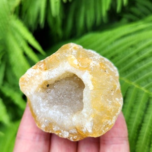 Oregon Geode Agate, Carnelian Agate, Druzy Crystals, Translucent ...