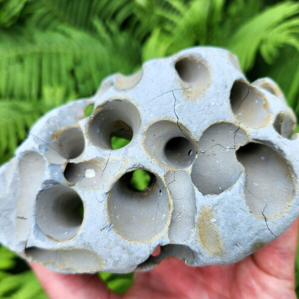 Holey Stone - Etsy