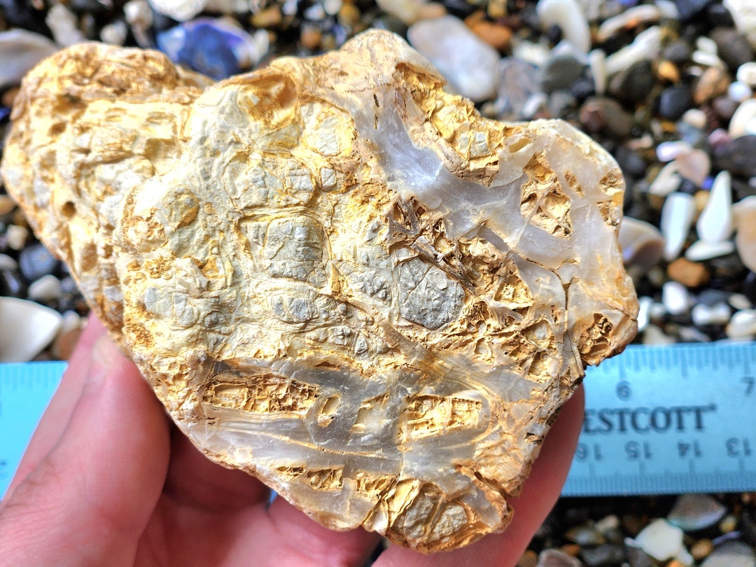 Fractured Membrane Agate, Oregon River Agate, 1 Lb 1 Oz, Agate Veins ...