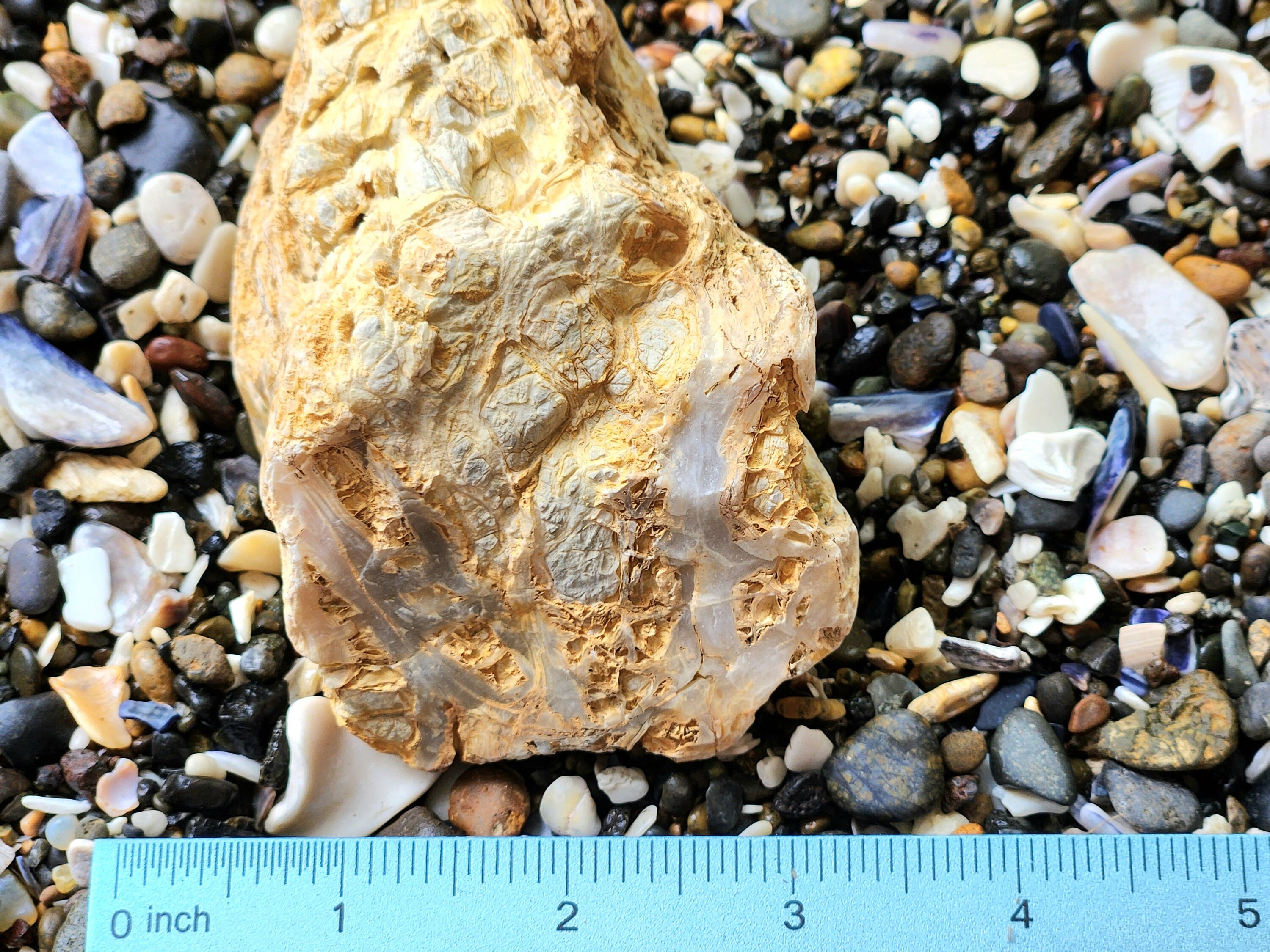 Fractured Membrane Agate, Oregon River Agate, 1 Lb 1 Oz, Agate Veins ...