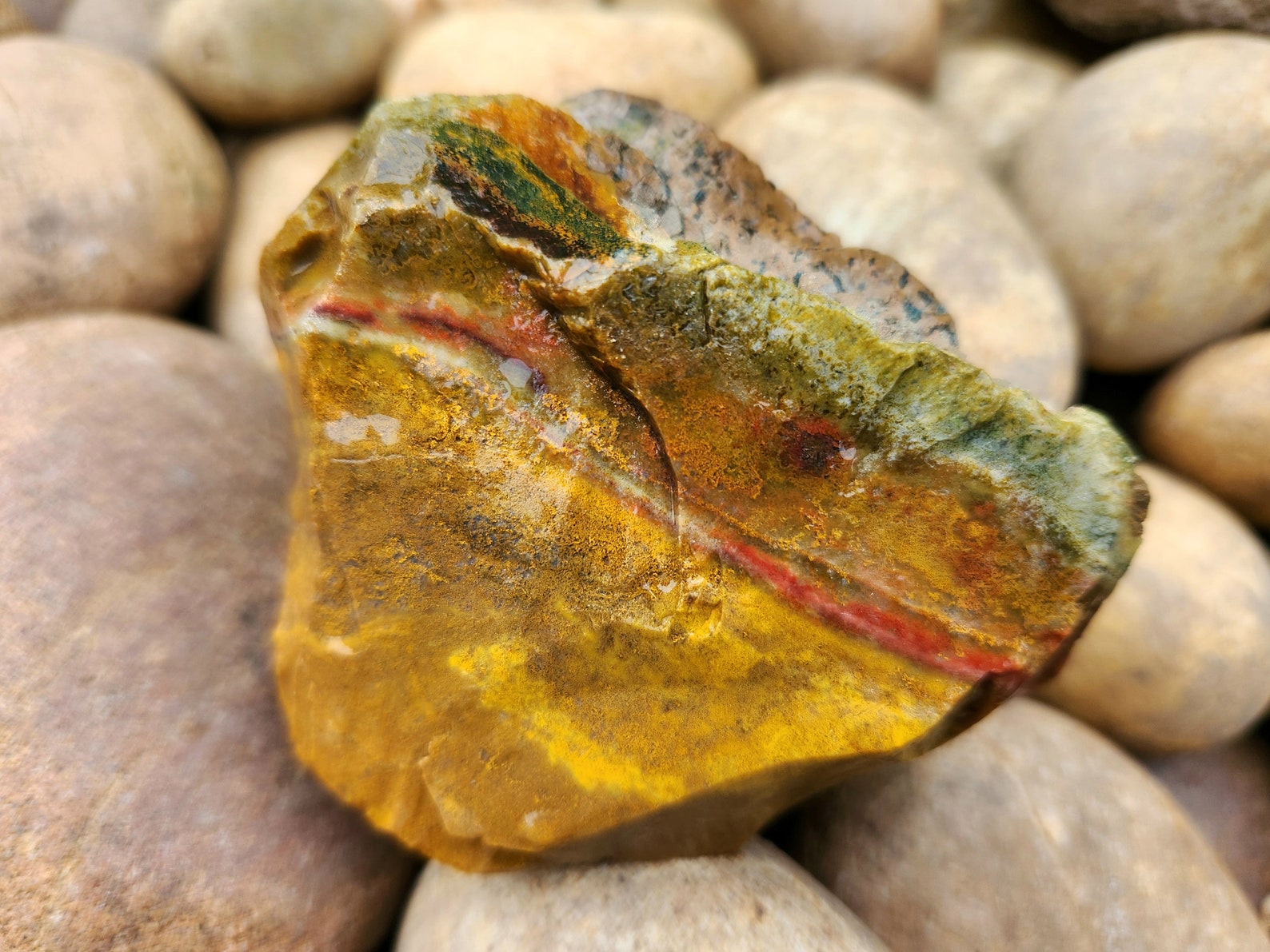 Multicolored Oregon Jasper, Yellow Jasper, Green Jasper, Red Jasper ...