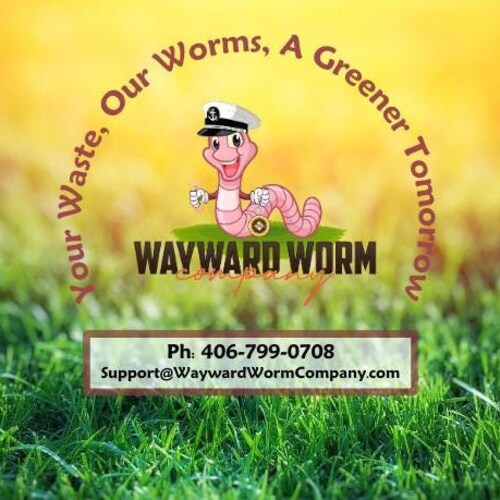 WaywardWormCompany - Etsy