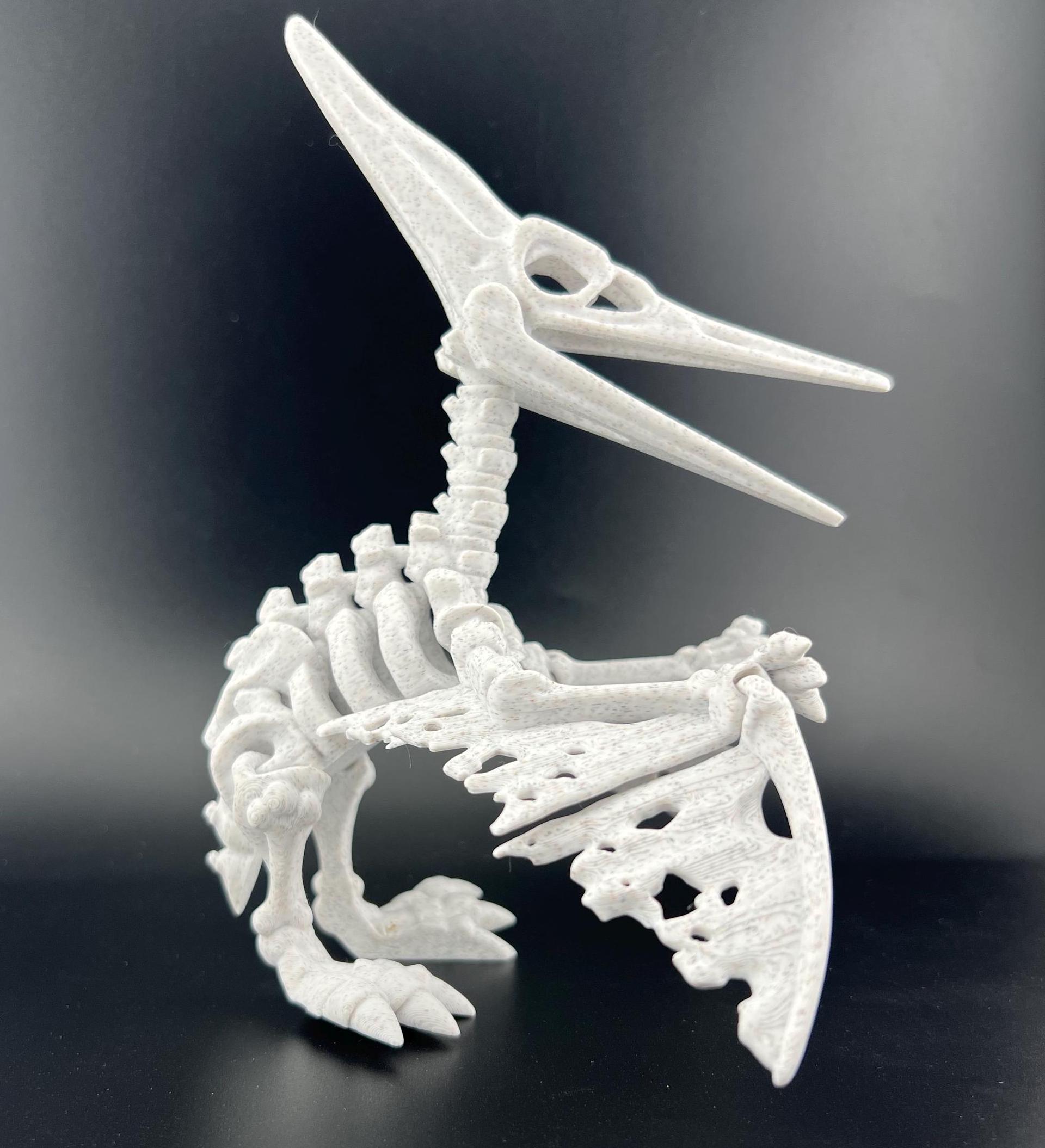 3D Printed Articulated Pteranodon Skeleton | Poseable Dinosaur Model | Unique 3D Printed Fossil ...
