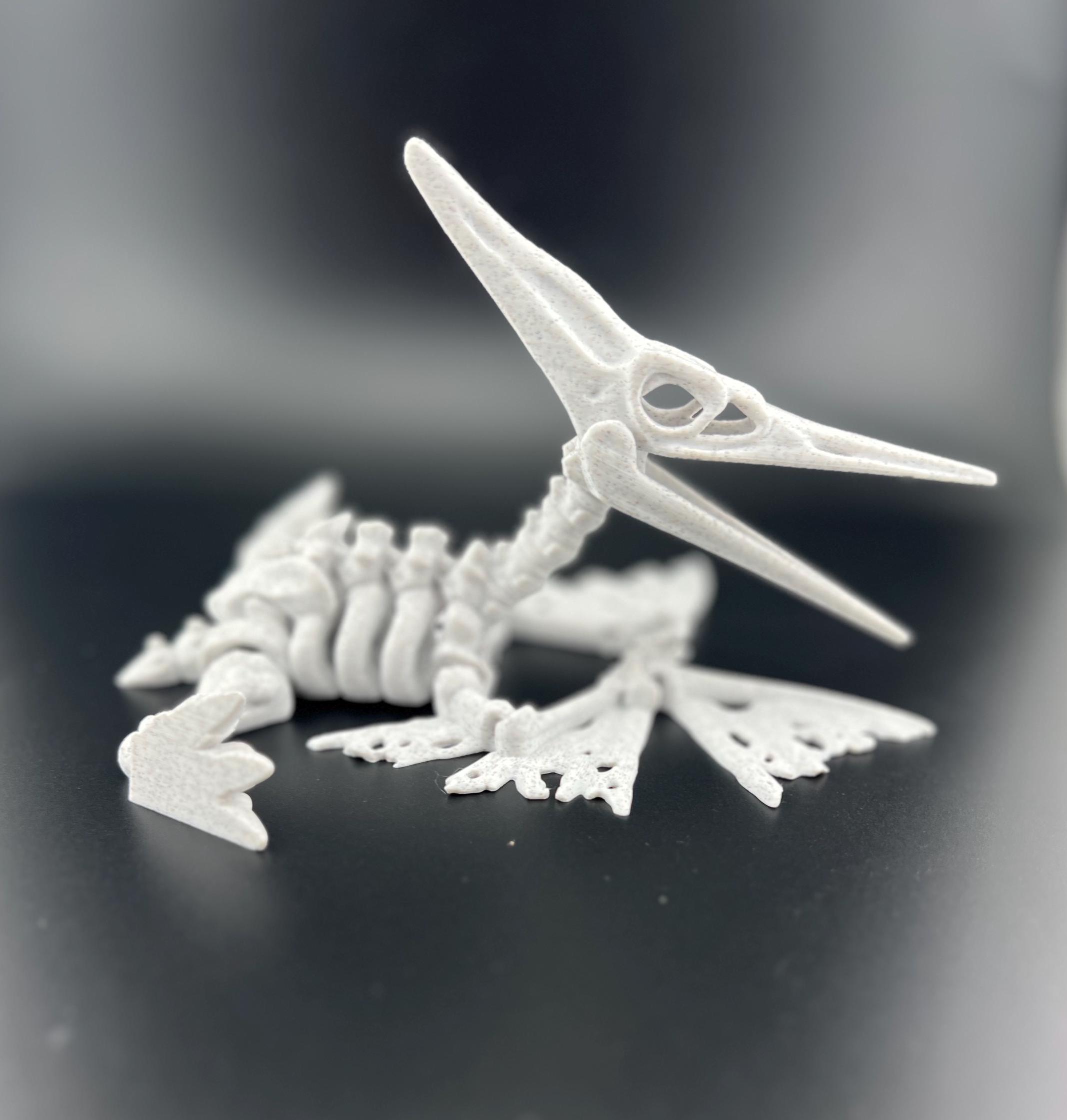 3D Printed Articulated Pteranodon Skeleton | Poseable Dinosaur Model | Unique 3D Printed Fossil ...