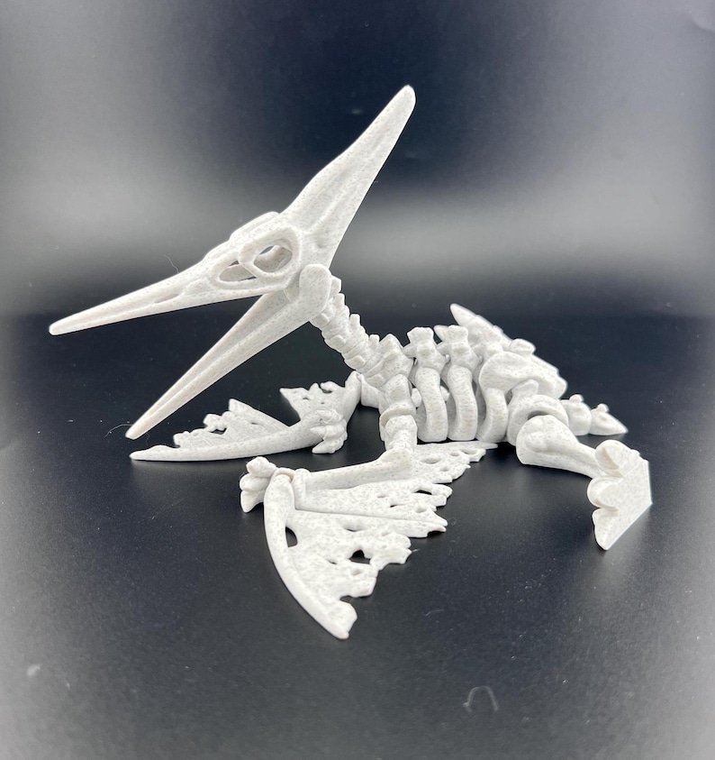 3D Printed Articulated Pteranodon Skeleton | Poseable Dinosaur Model | Unique 3D Printed Fossil ...