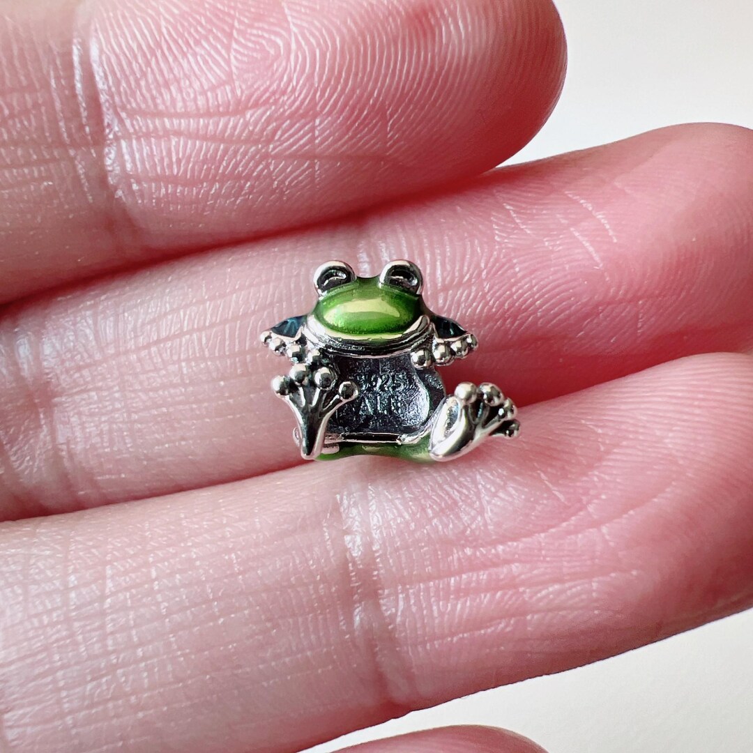 Climbing Frog Charm,silver Charm,charms for Bracelet,girl Dangle Charm ...