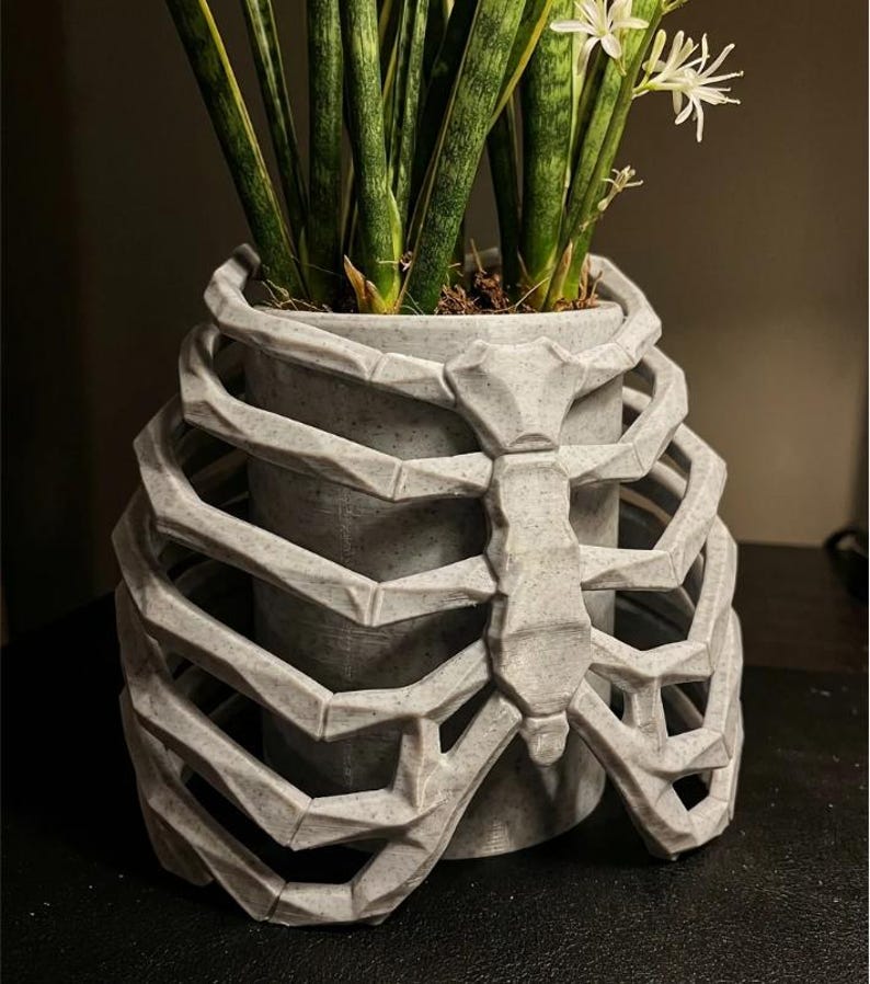 3D Printed Ribcage Skeleton Planter | Gothic Home Decor - Etsy