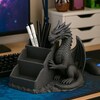 Dark Dragon Pouch Fantasy Fairytale Case, Pen Storage Bag, Black Pen ...