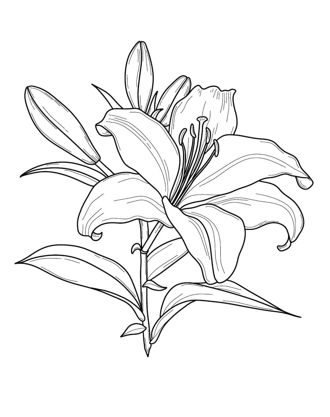 Day Lily Template: Royalty Free Traceable Pattern Bundle (jpg, Png, Svg ...