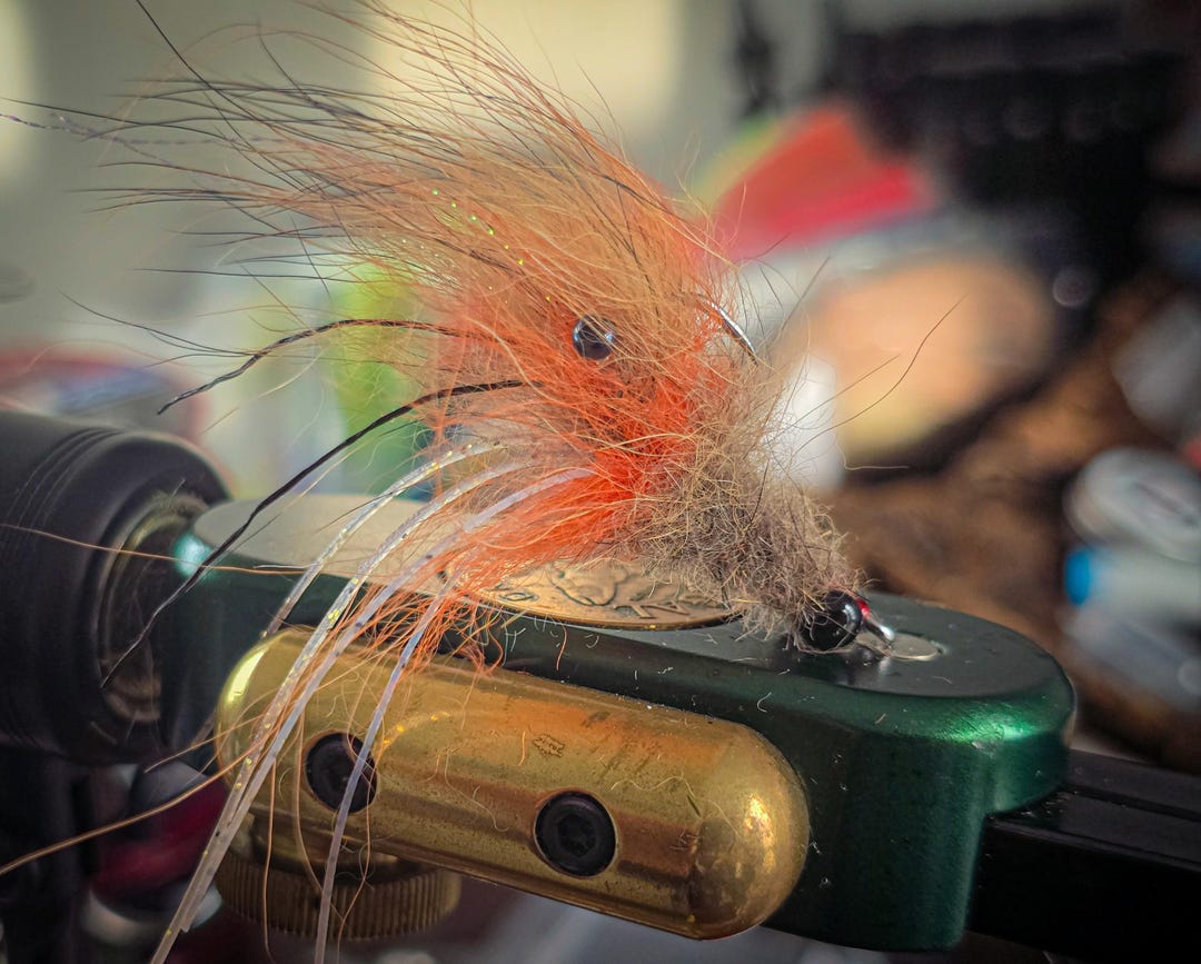 Flysmith Spawning Coyote Shrimp - Etsy