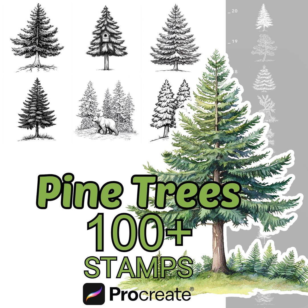 Procreate Trees Brushes 100 Pine Trees Landscape Procreate Stamps