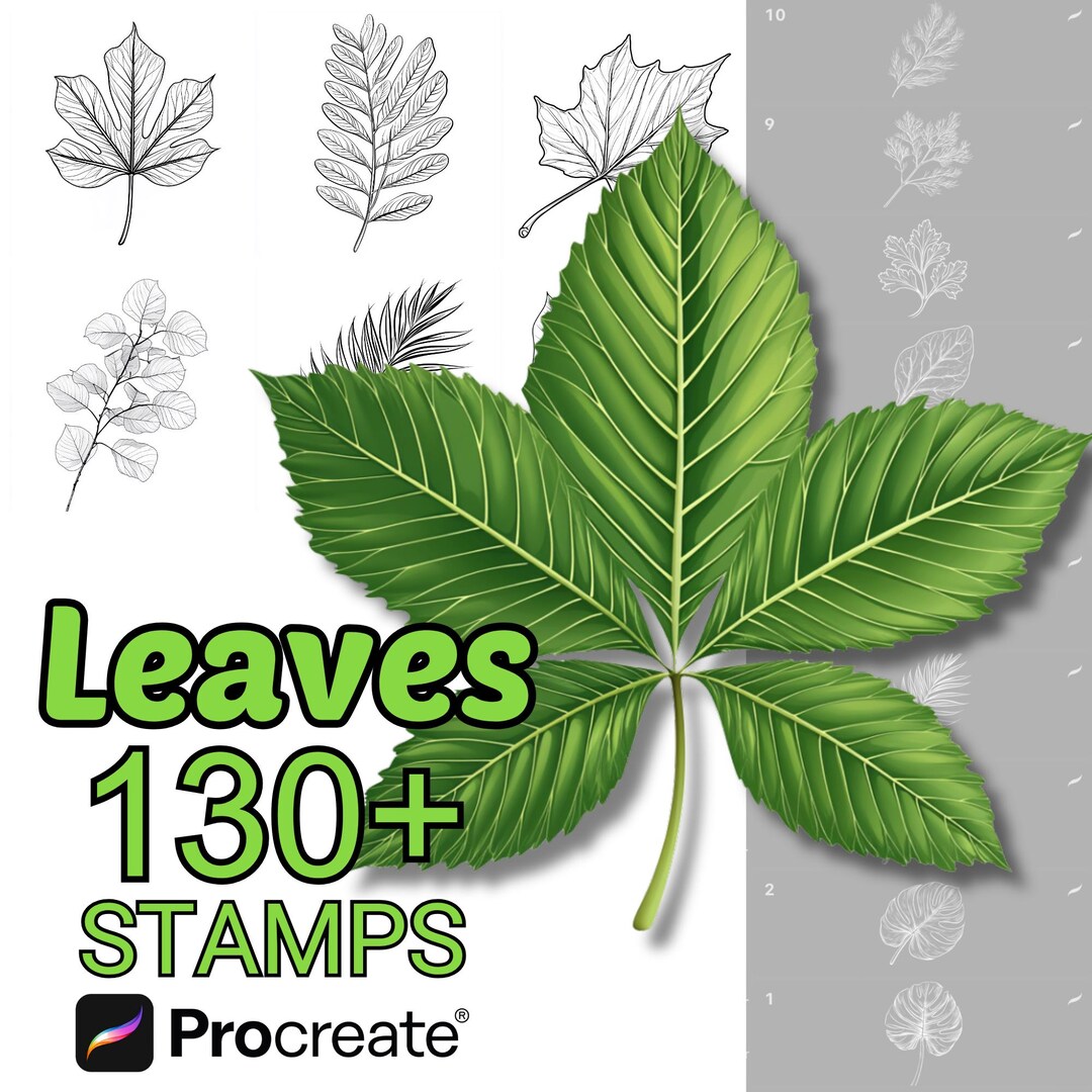 Procreate Leaves Brushes | 130+ Leaves Procreate Stamps | Nature ...