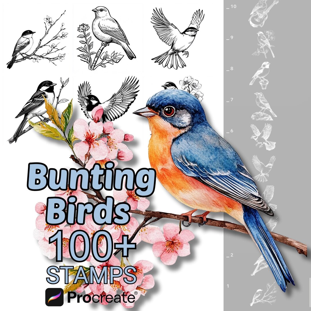 Procreate Bunting Bird Animals Brushes | 100+ Bunting Bird Animals ...
