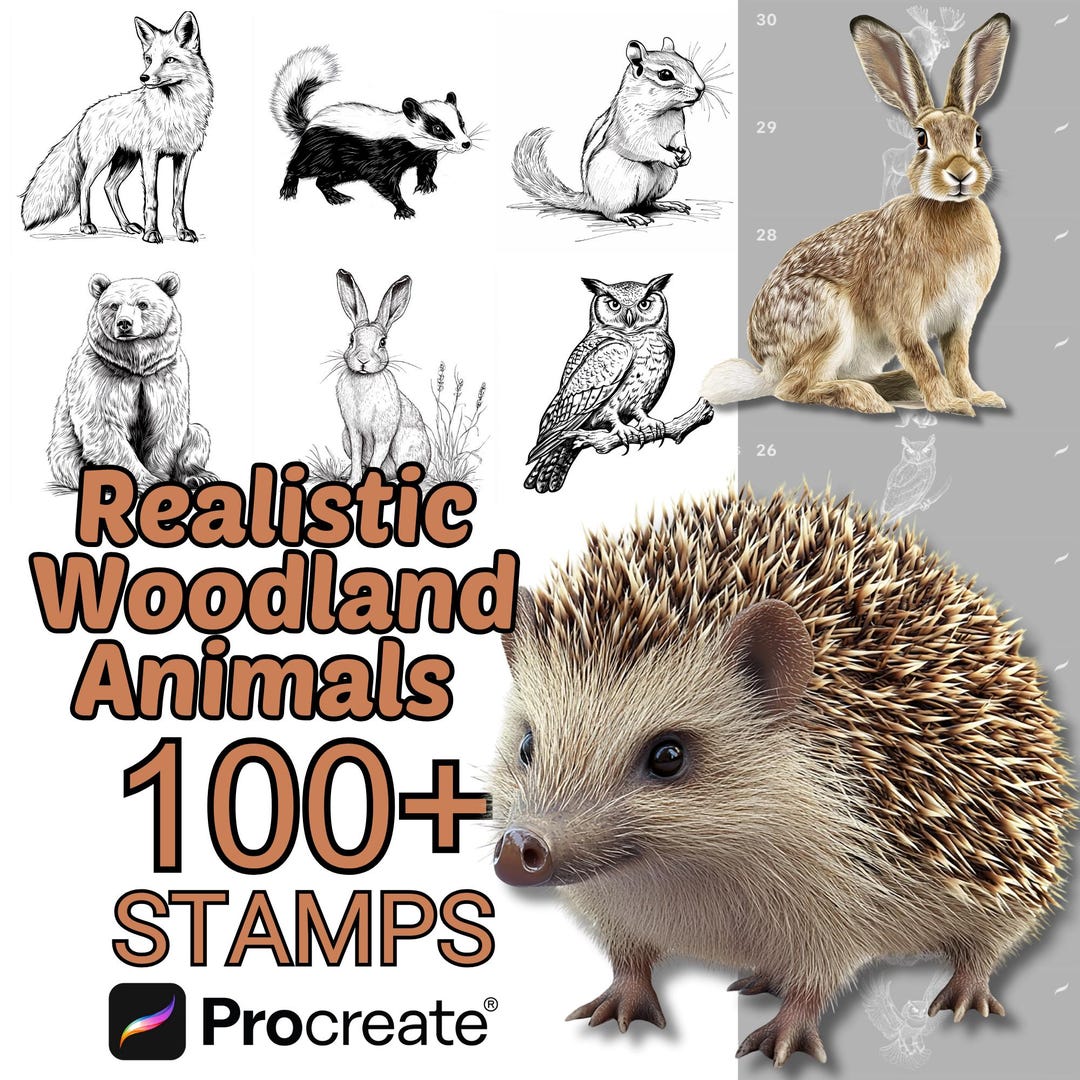 Procreate Realistic Woodland Animals Brushes | 100+ Cute Animals ...