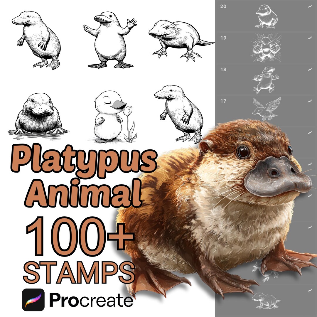 Procreate Platypus Animals Brushes | 100+ Platypus Animals Procreate ...