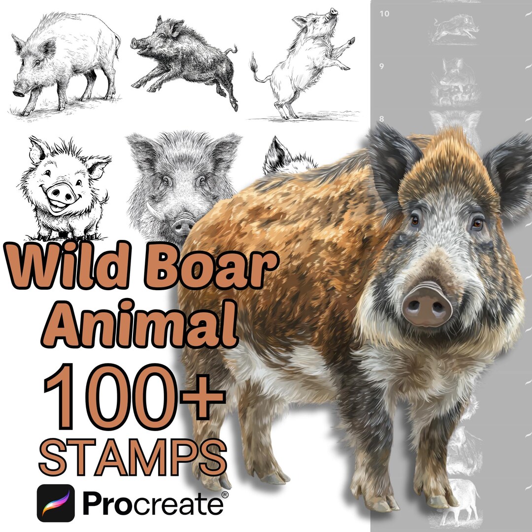 Procreate Wild Boar Animals Brushes | 100+ Wild Boar Animals Procreate ...