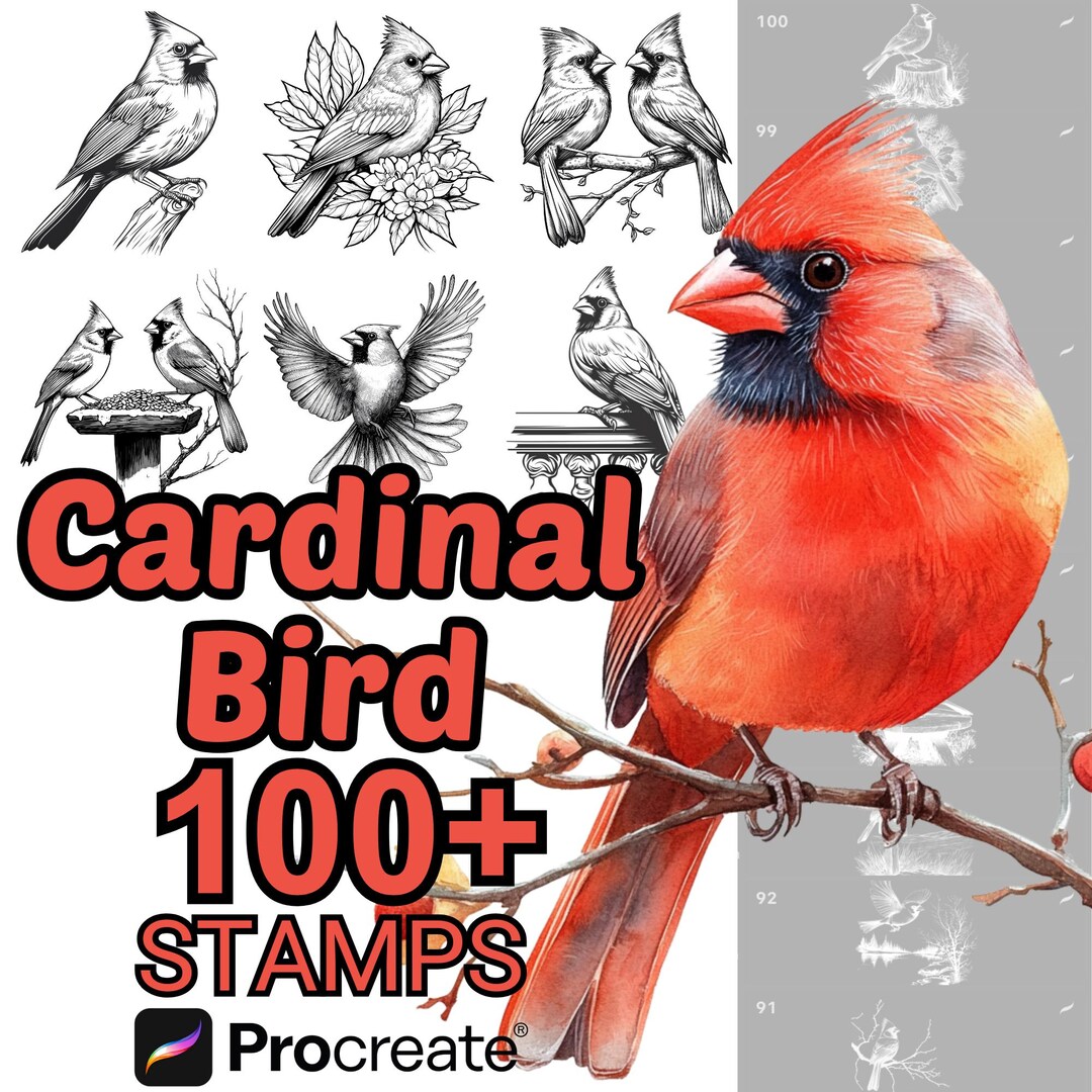 Procreate Cardinal Bird Animals Brushes | 100+ Cardinal Bird Animals ...