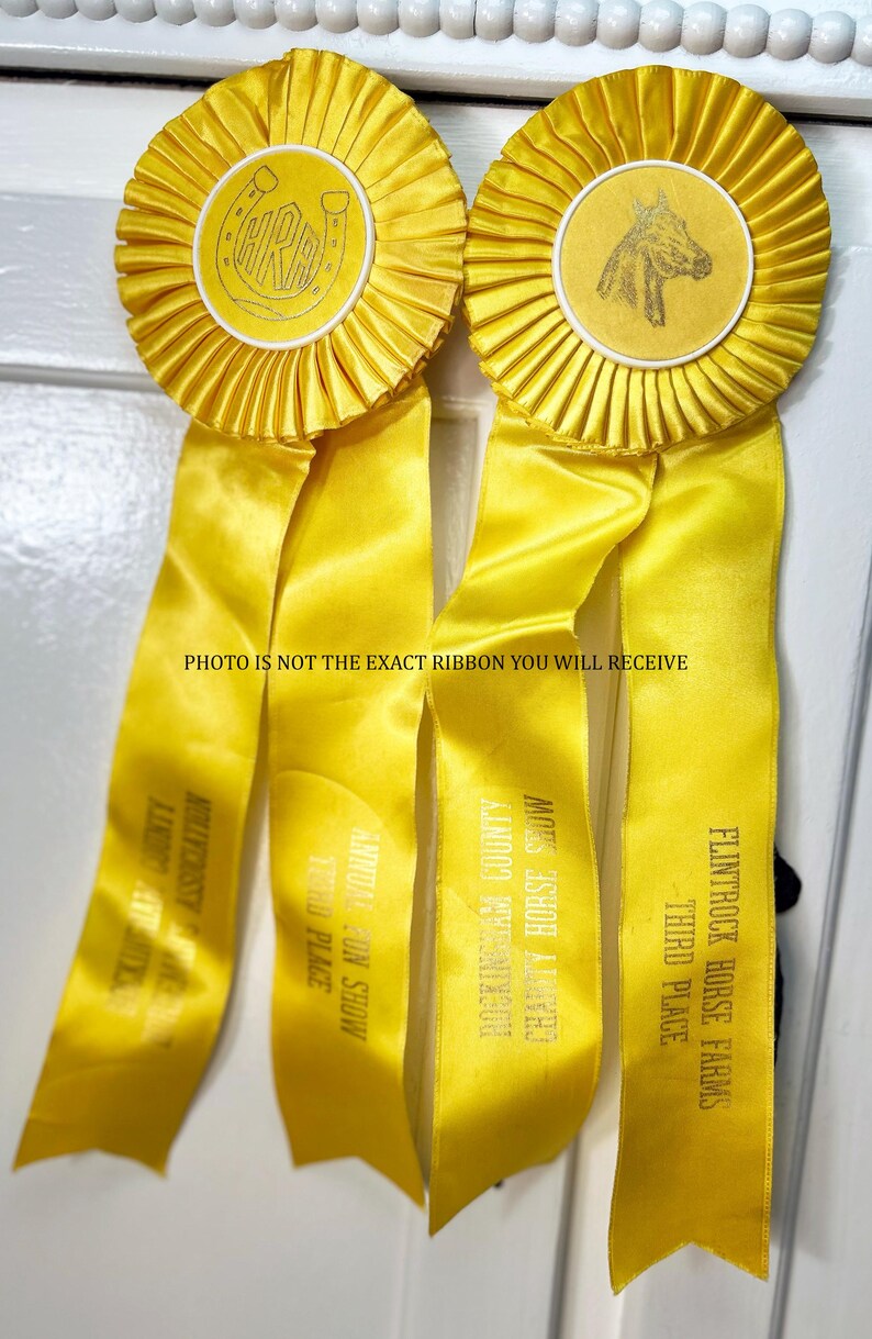 Vintage Horse Show Ribbons - Large - 1970s - Etsy