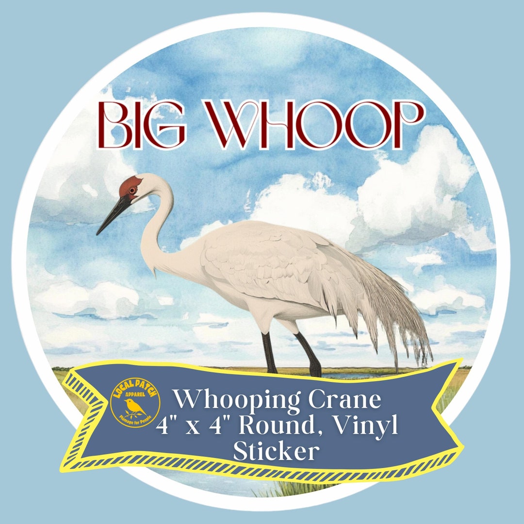 BIRD STICKER - Big Whoop 4"x4" Whooping Crane Sticker Birdwatching ...